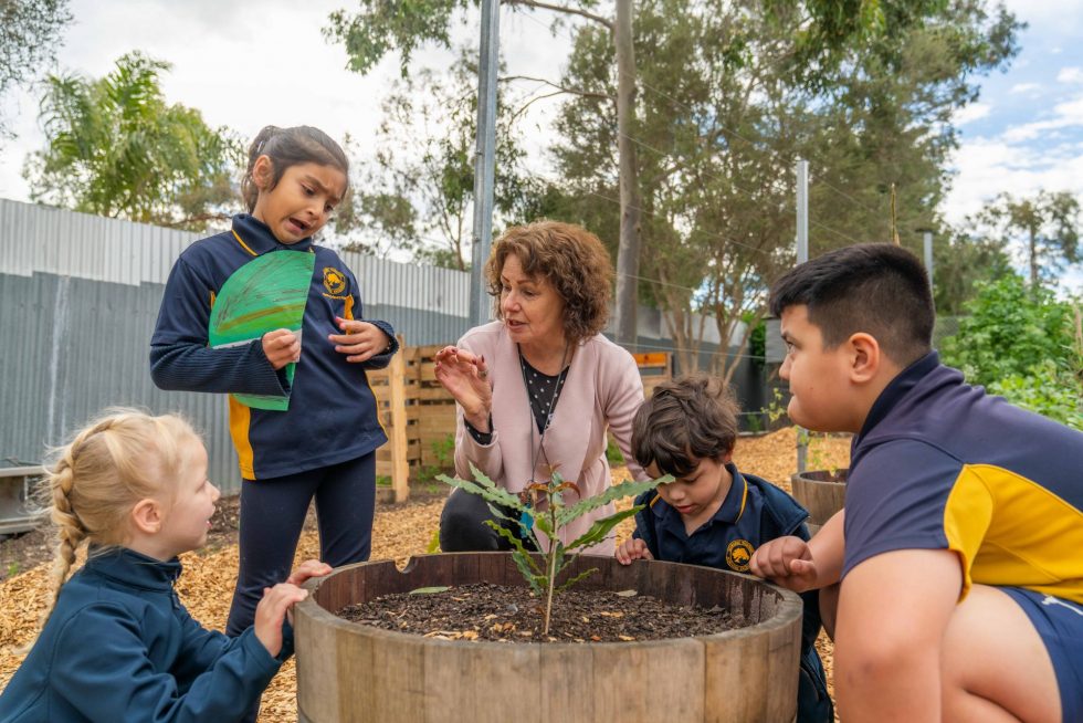 About Us - Highbury Primary School